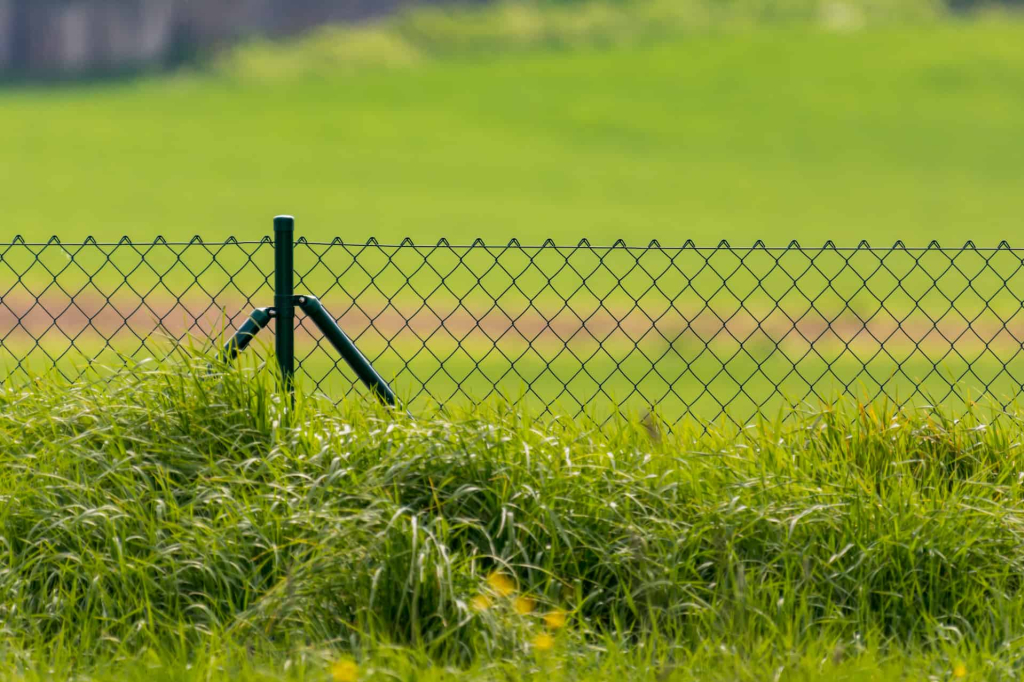 Guide sur le grillage jardin : les types et le choix